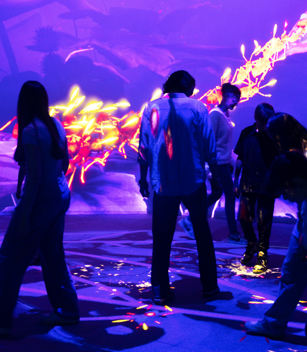 Antopia Immersive Exhibition at Melbourne Museum | S1T2