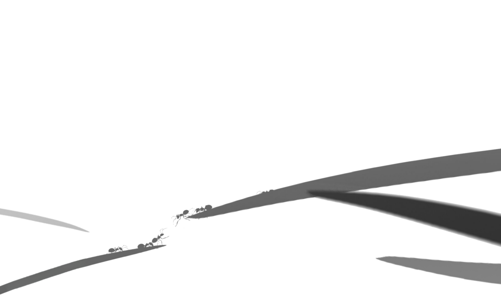 Antopia Immersive Exhibition at Melbourne Museum | S1T2