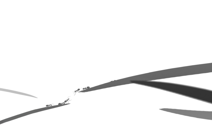 Antopia Immersive Exhibition at Melbourne Museum | S1T2