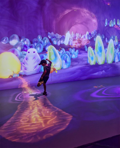 Antopia Immersive Exhibition at Melbourne Museum | S1T2