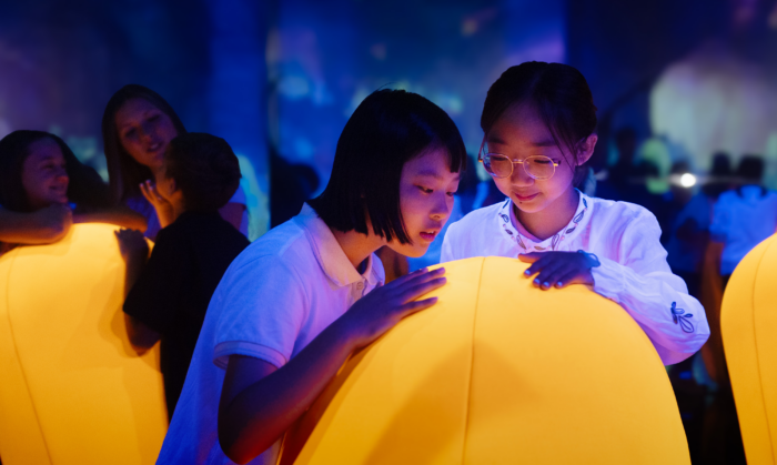 Antopia Immersive Exhibition at Melbourne Museum | S1T2