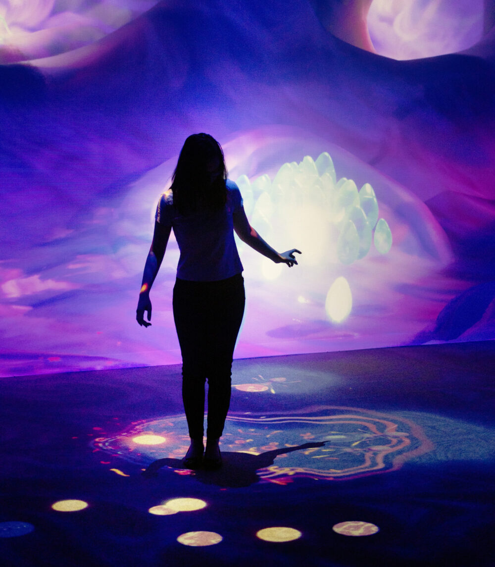 Antopia Immersive Exhibition at Melbourne Museum | S1T2