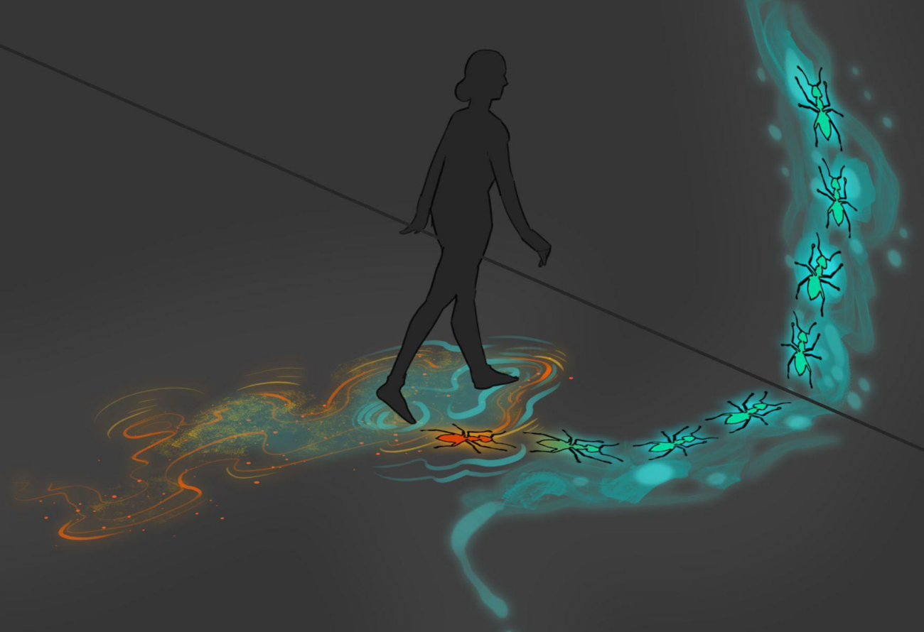 Antopia Immersive Exhibition at Melbourne Museum | S1T2