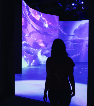 Antopia Immersive Exhibition at Melbourne Museum | S1T2