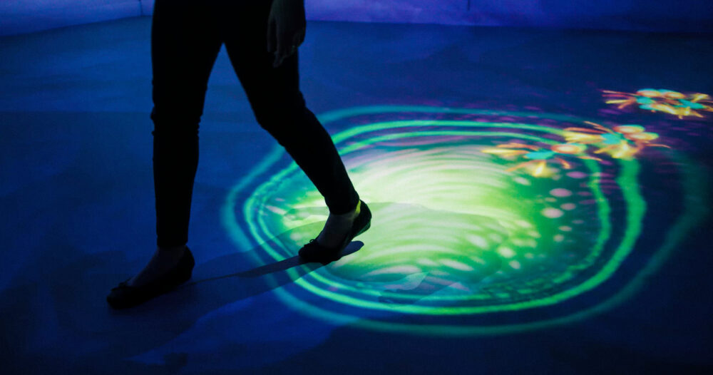 Antopia Immersive Exhibition at Melbourne Museum | S1T2