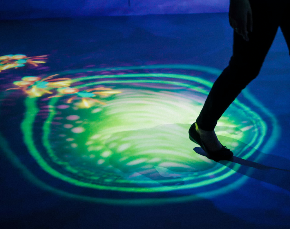 Antopia Immersive Exhibition at Melbourne Museum | S1T2